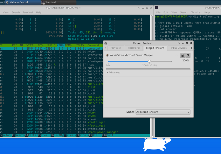 WSL2 GUI X-Server Using VcXsrv - Shogan.tech